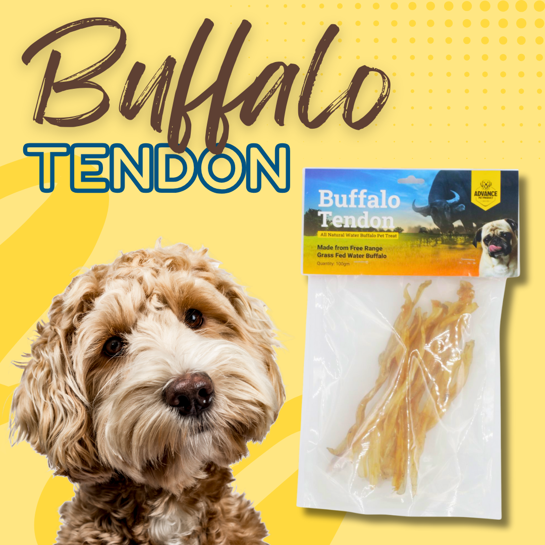 Water Buffalo Tendon | PyrPaw